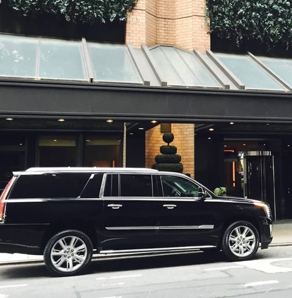 VIP/Executive Protection - Pro Protection Security